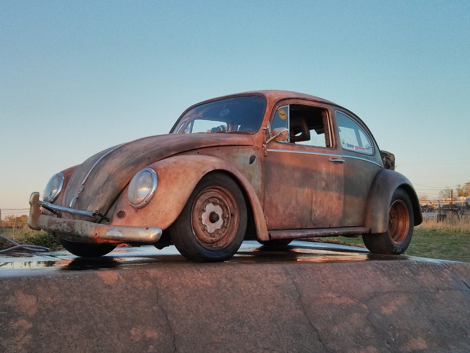 Dung Beetle (AZN) - US Motorworks